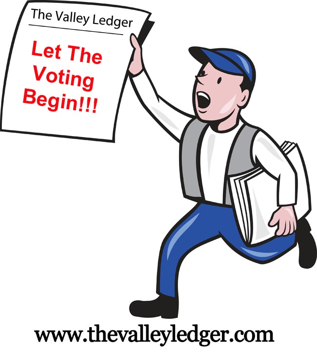 Let The Voting Begin!!! | The Valley Ledger | Its All About The Lehigh ...